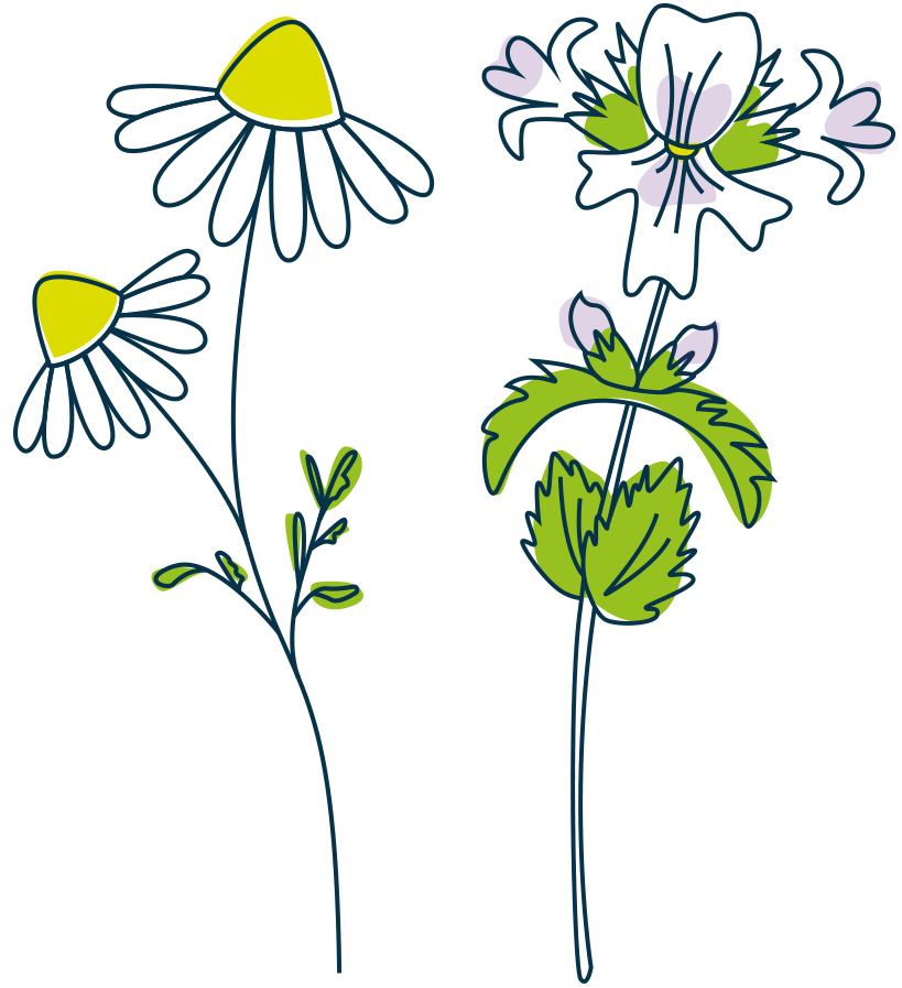 AQUA RUBIN | AQUA PLUS – AQUA RUBIN